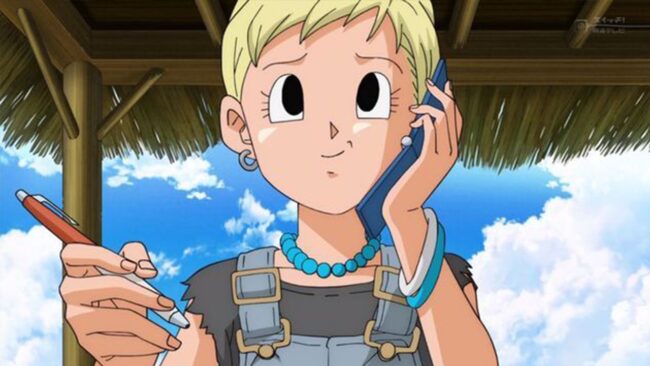 Who is Tights Brief, Bulma's Sister: the story of the Dragon Ball super ...
