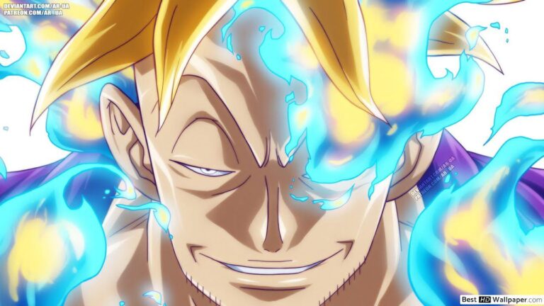 ONE PIECE: Marco and his transformation in the anime, we remember his ...