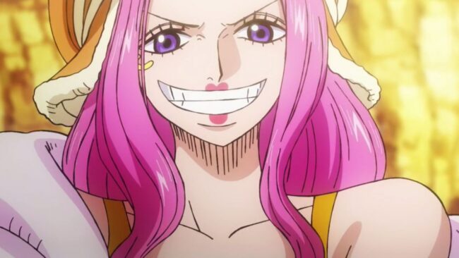 ONE PIECE: a cosplay of Jewelry Bonney the Wolverine for his return ...